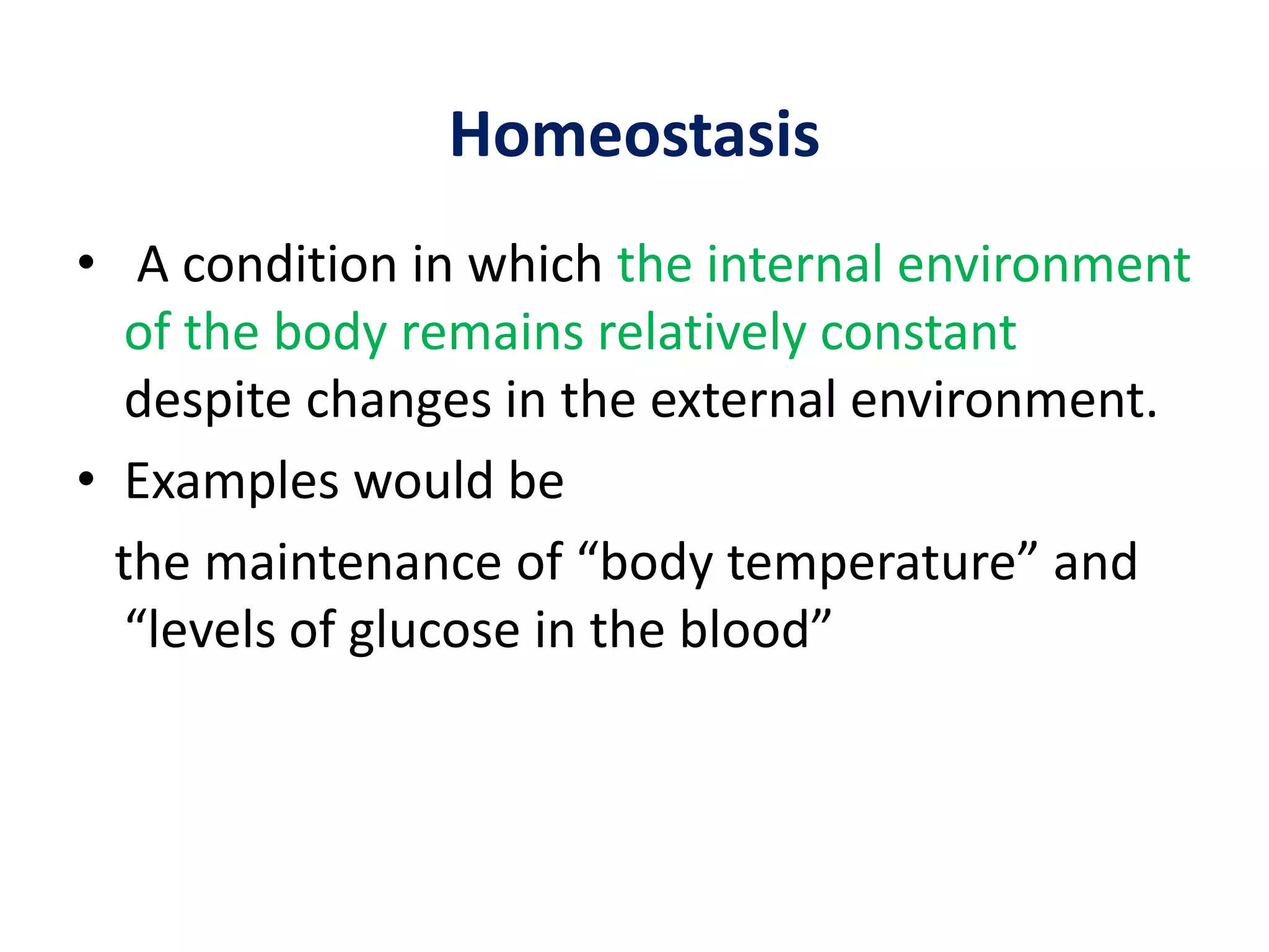 Homeostasis | PPTX