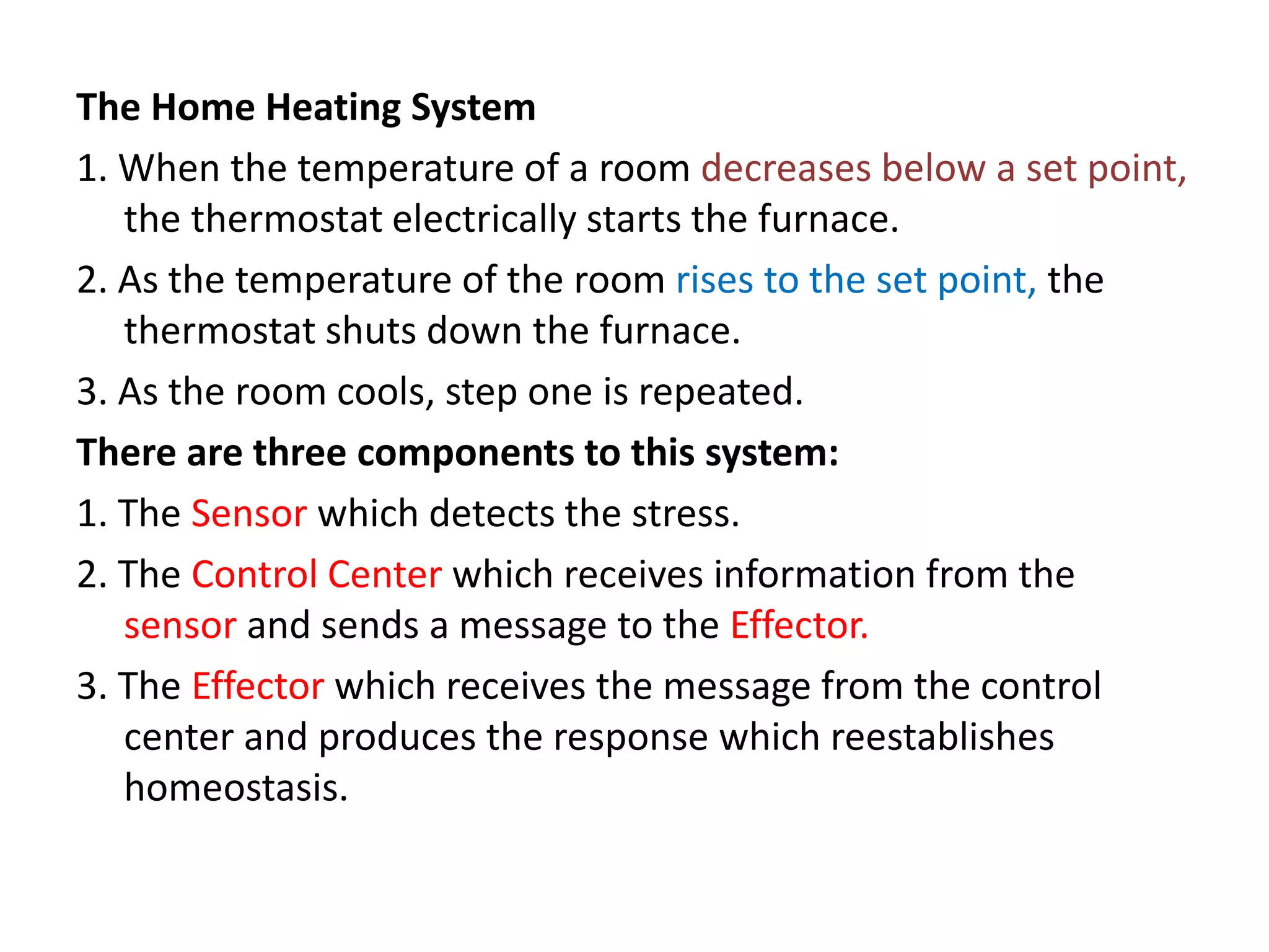 Homeostasis | PPTX