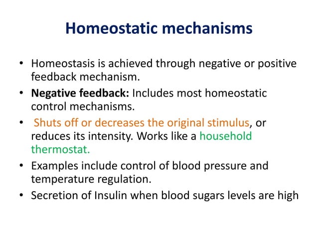 Homeostasis | PPTX