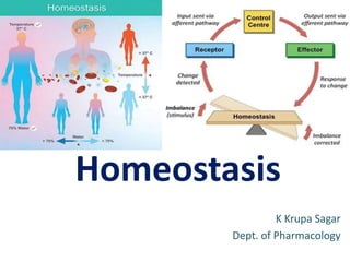 Homeostasis Diagram