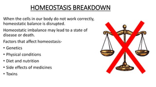 homeostasis-introduction and with help of digram | PDF