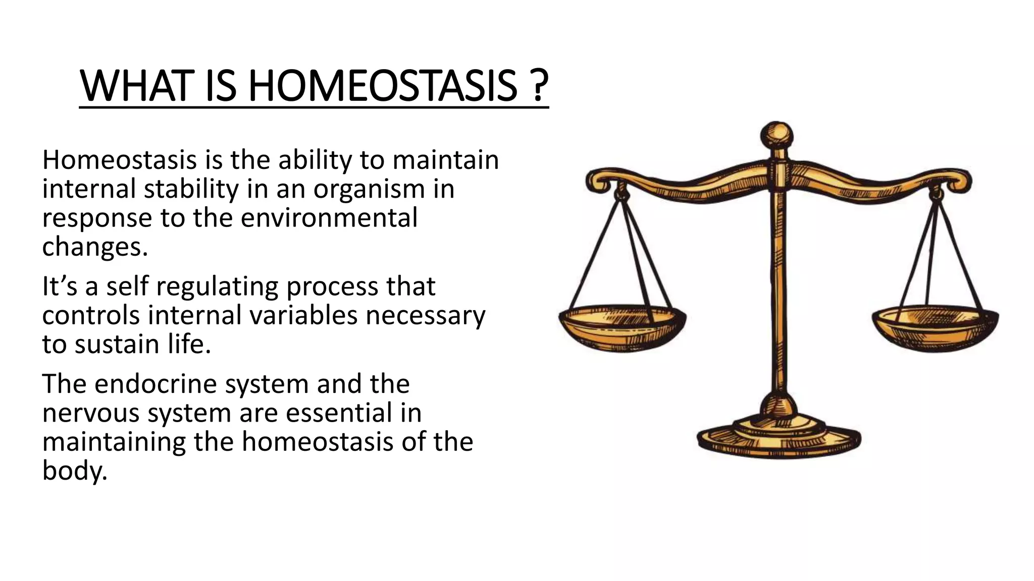 Homeostasis | PPTX
