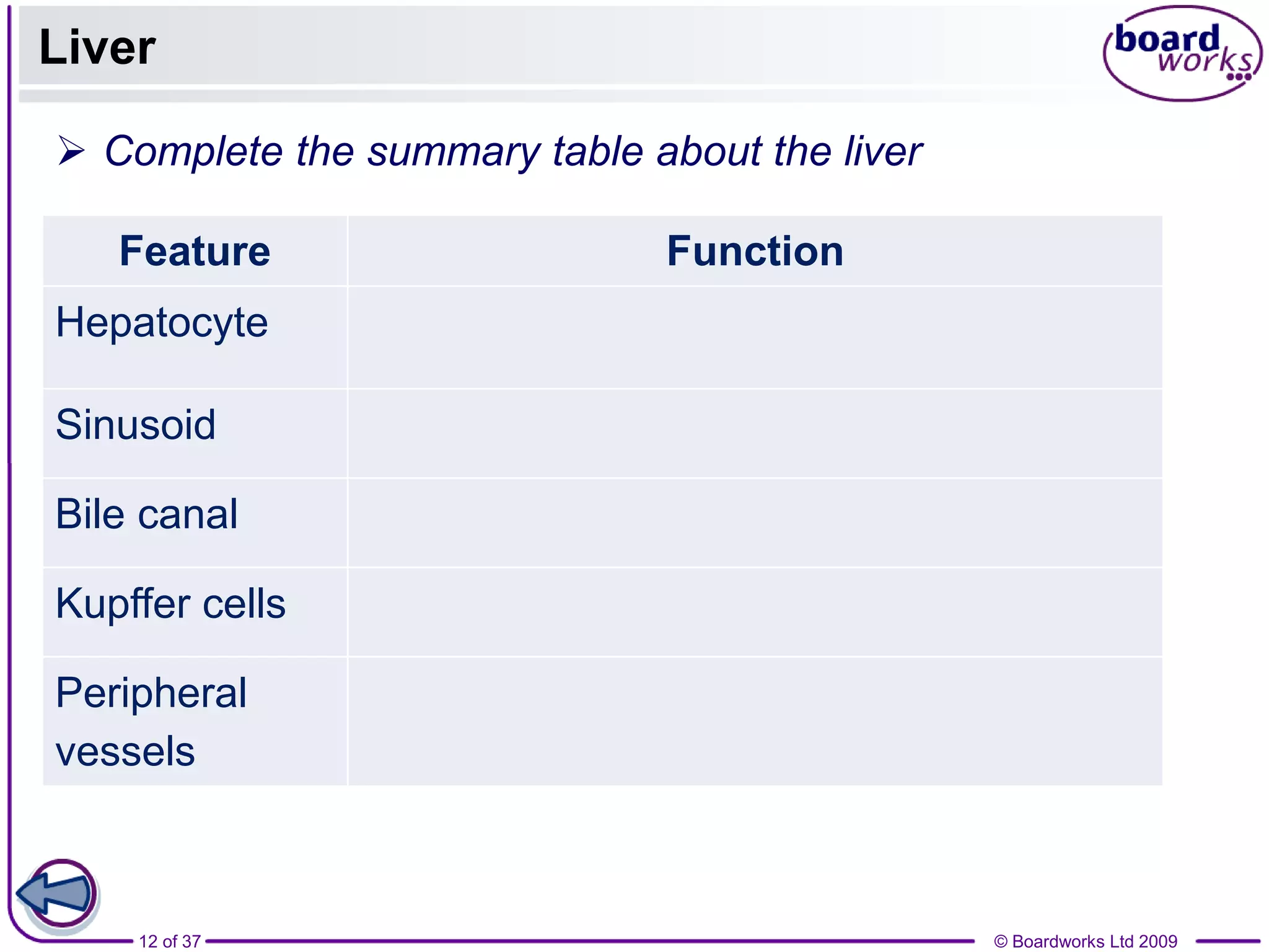 Homeostasis.L3.pptx