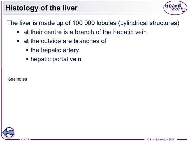 Homeostasis.L3.pptx