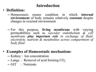 HOMEOSTASIS.pptx | Endocrine and Metabolic Diseases | Diseases and ...