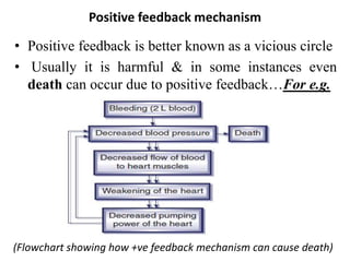 HOMEOSTASIS.pptx | Endocrine and Metabolic Diseases | Diseases and ...