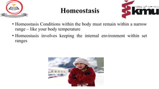 Homeostasis.pptx