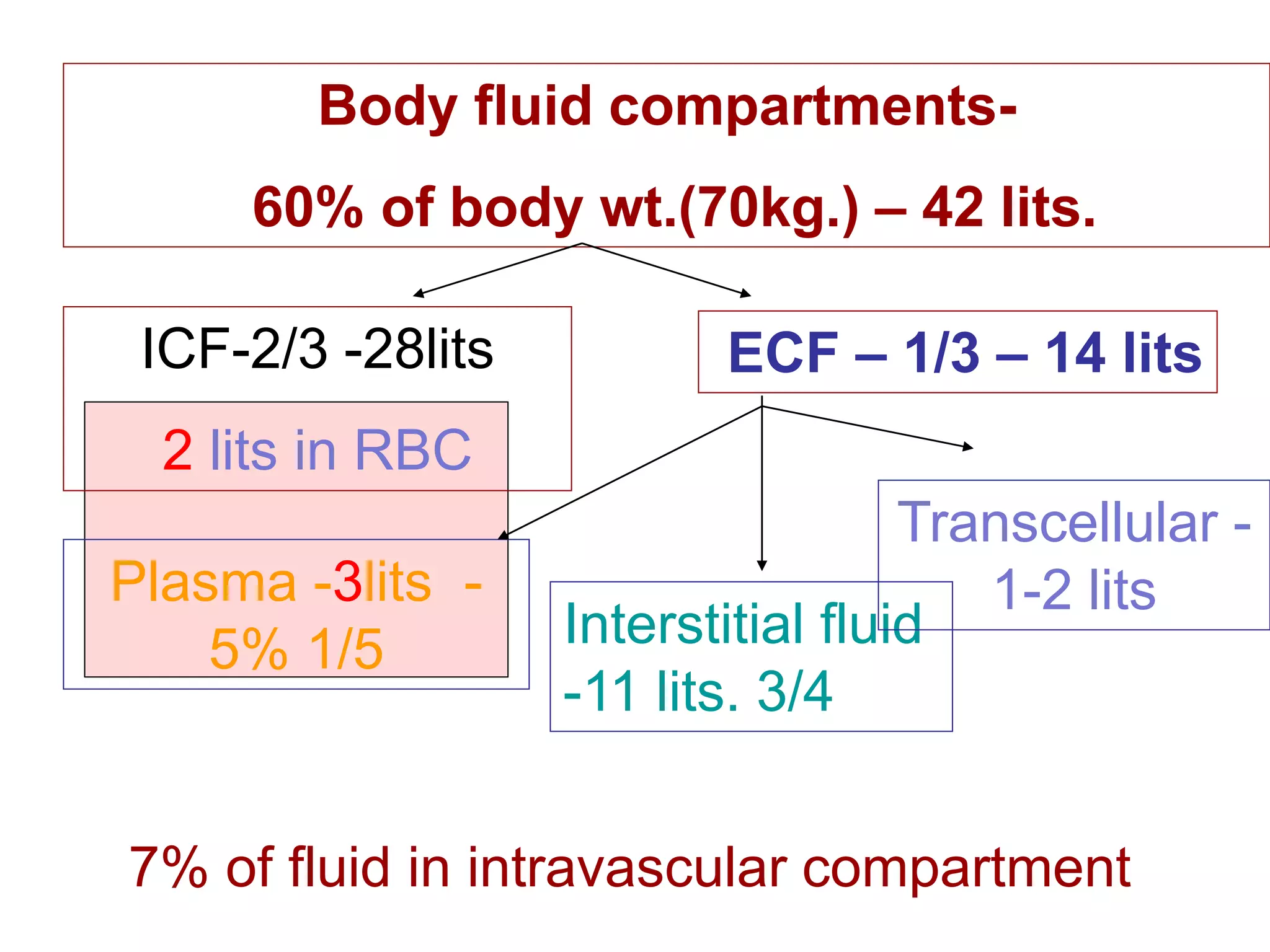 homeostasis.ppt