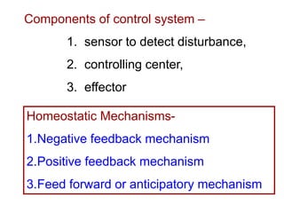 homeostasis.ppt