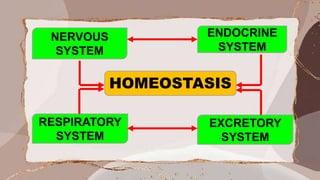 HOMEOSTASIS.pptx