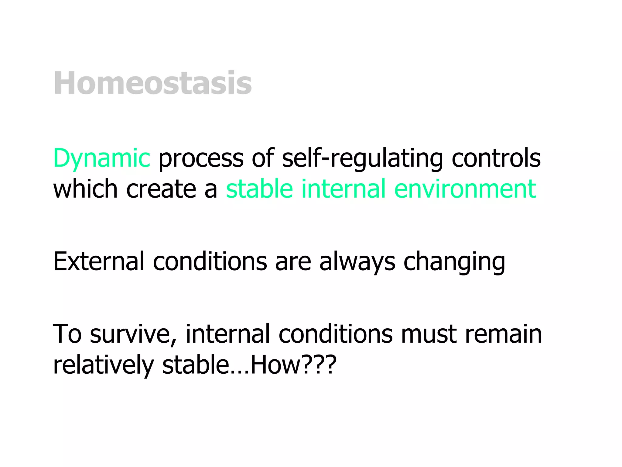 Homeostasis.pptx