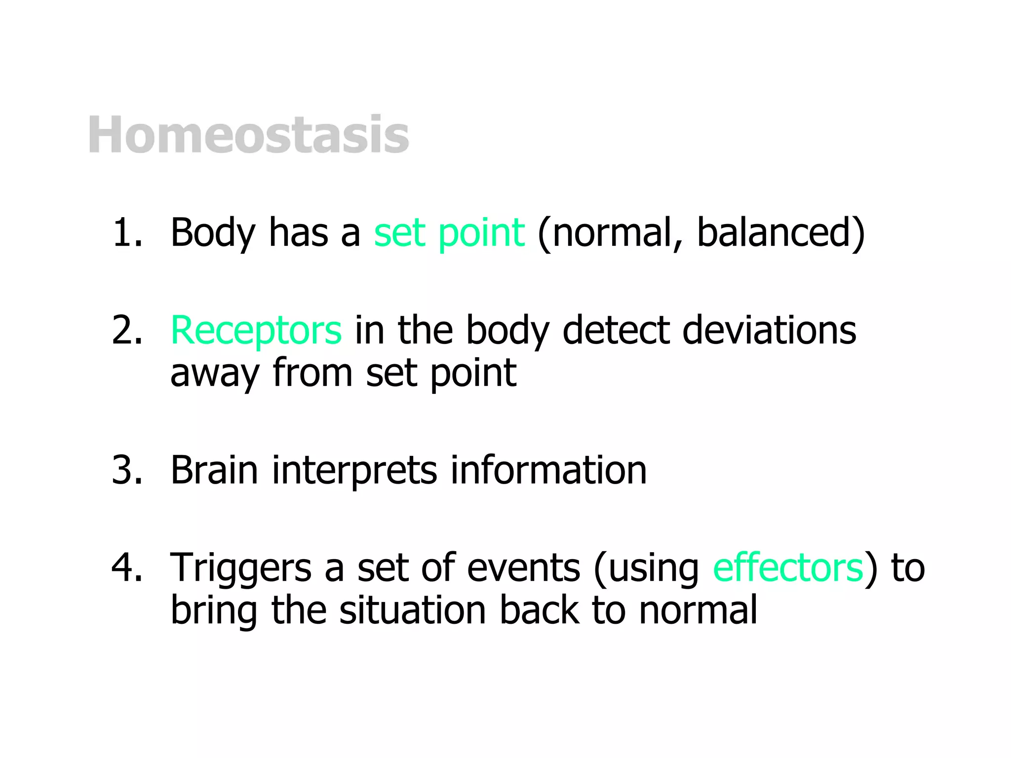 Homeostasis.pptx