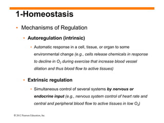 Homeostasis.pptx
