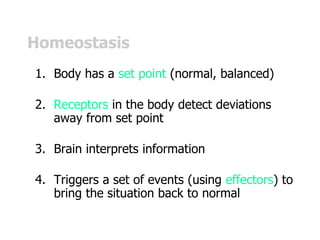 Homeostasis.pptx