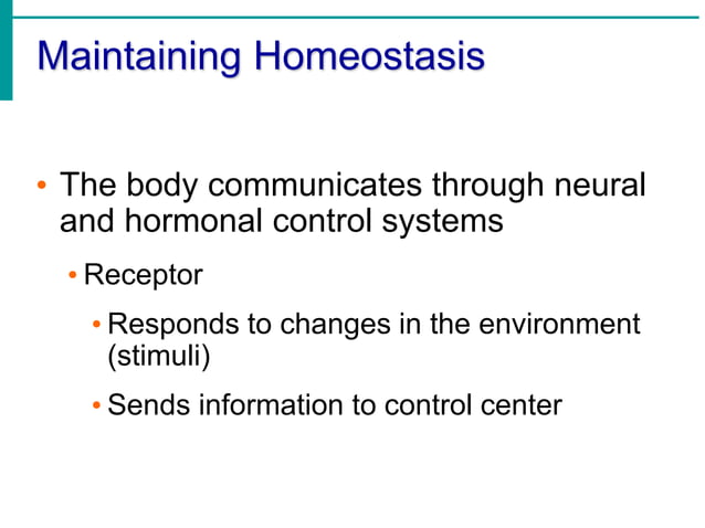 Homeostasis.pptx