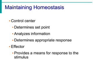 Homeostasis.pptx
