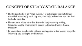 HOMEOSTASIS.pdf