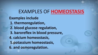 HOMEOSTASIS.pptx