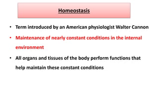 Homeostasis.pptx