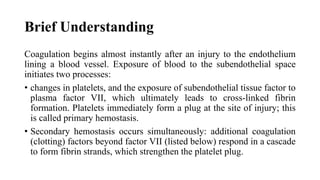 Homeostasis.pptx