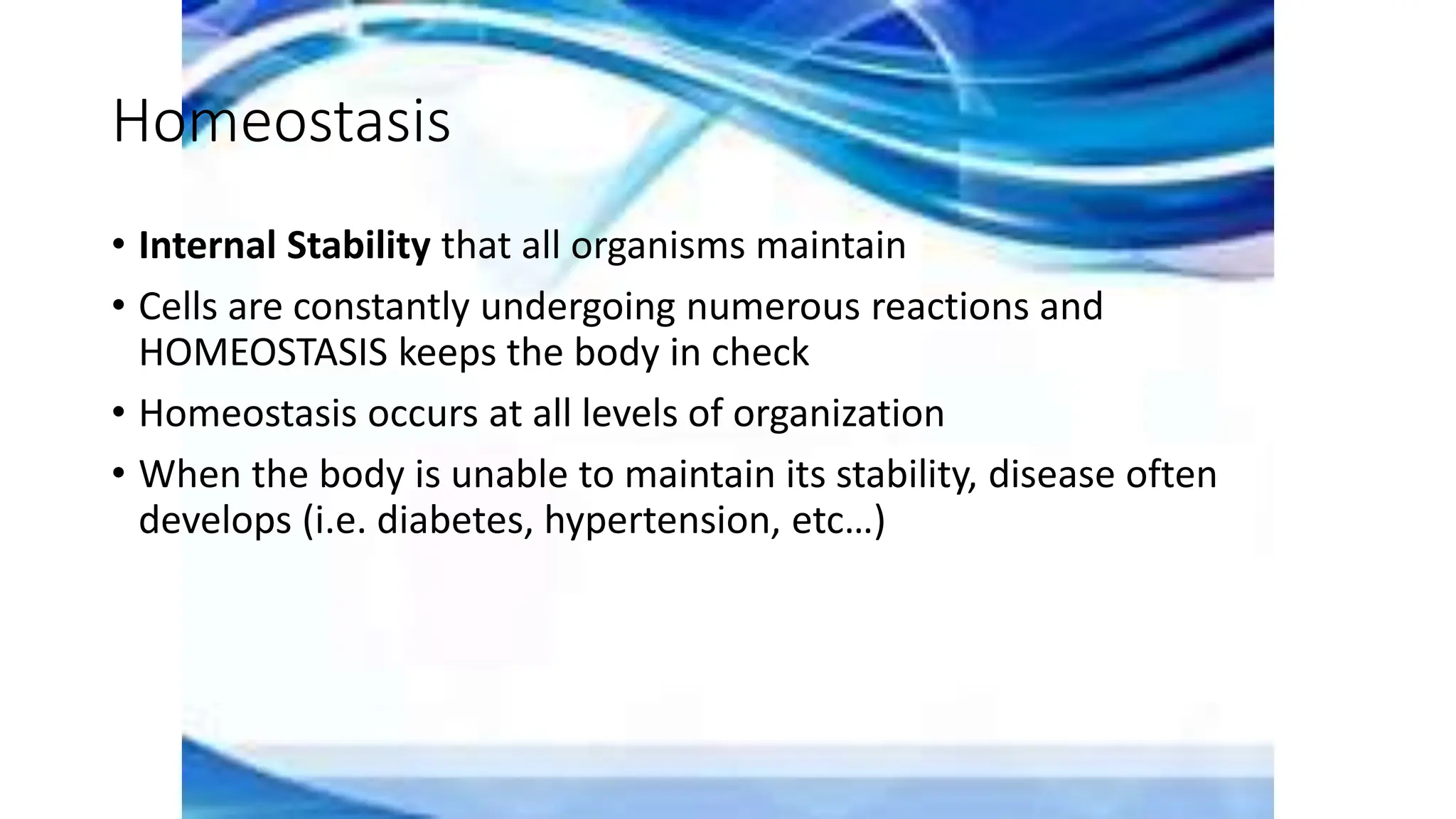 Homeostasis in the human and animal body.pptx
