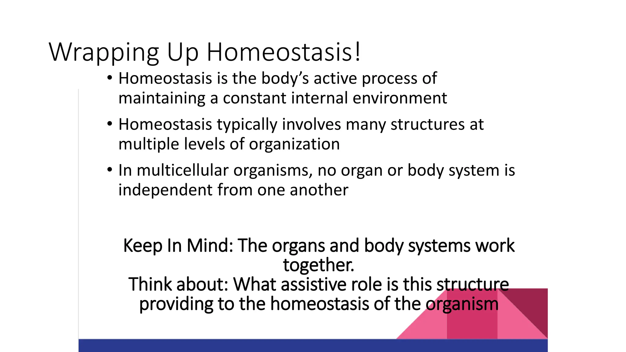 Homeostasis in the human and animal body.pptx