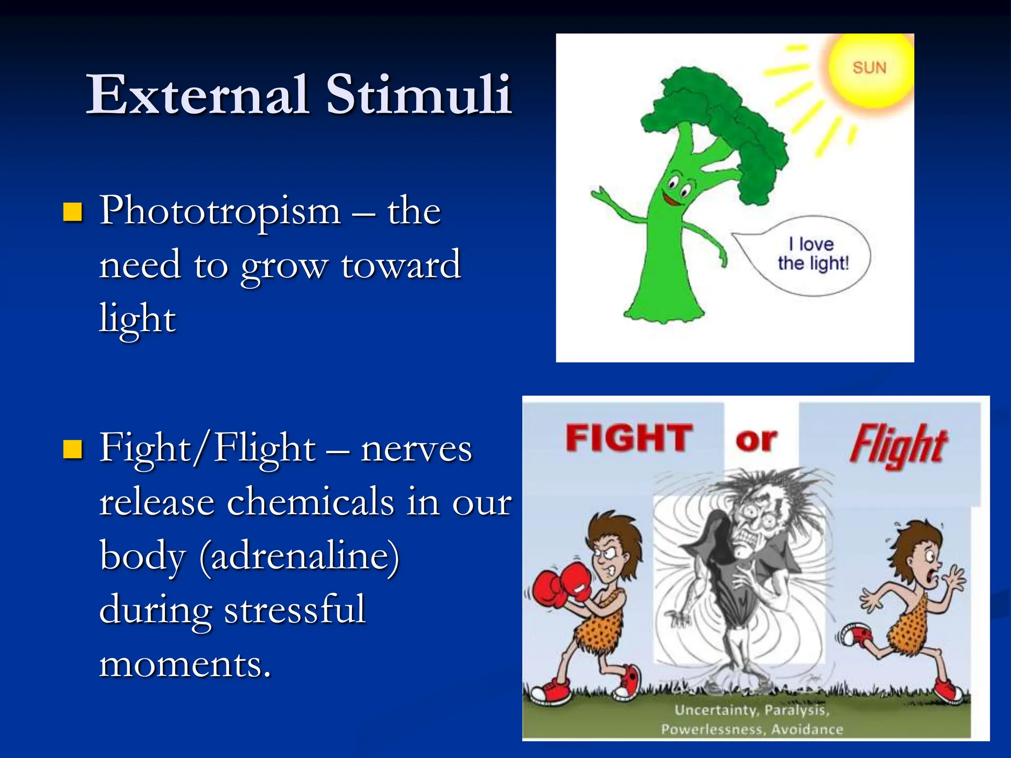Homeostasis.ppt concept of homeostasis different type of homeostasis | PPT