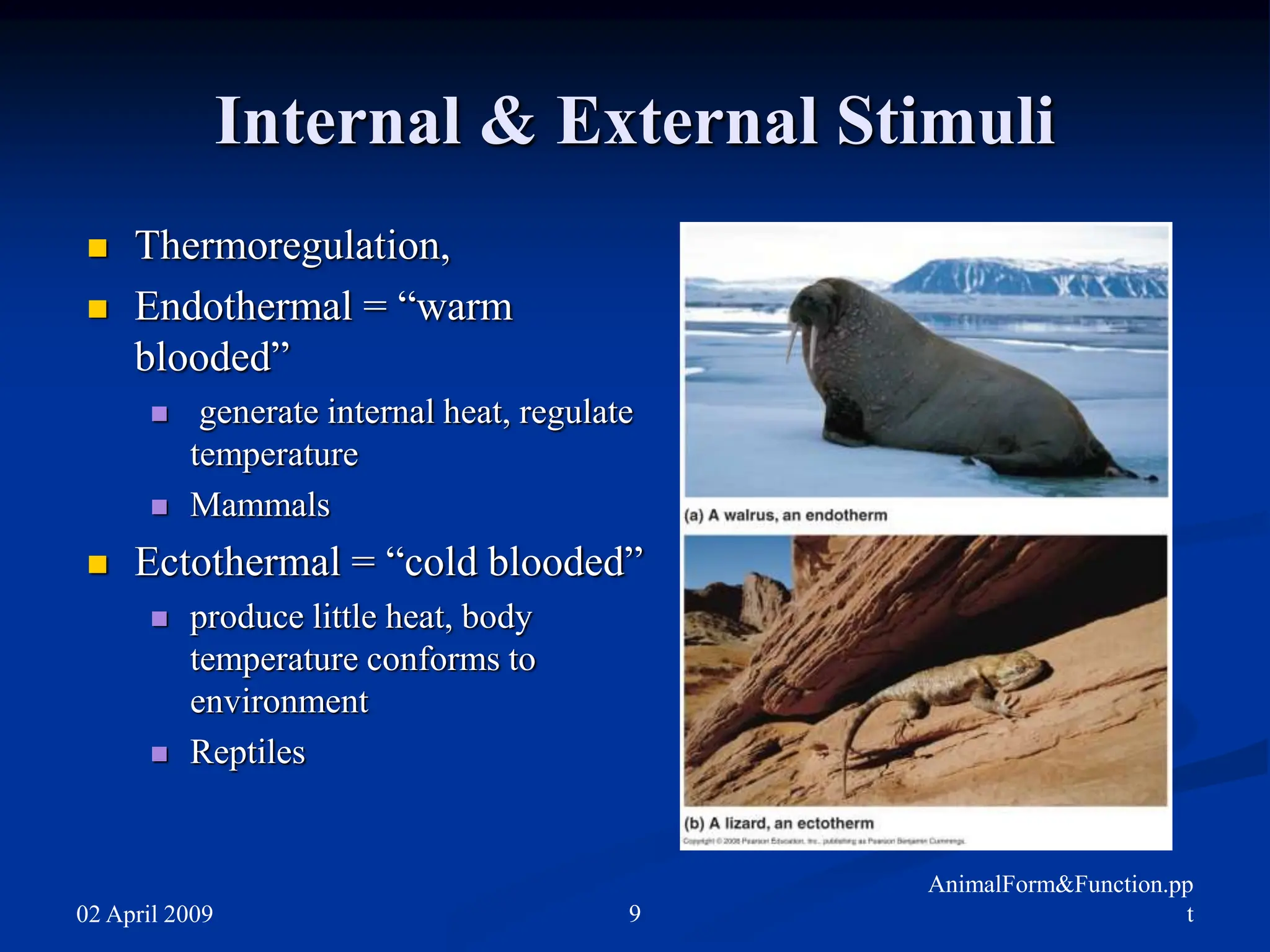 Homeostasis.ppt concept of homeostasis different type of homeostasis | PPT
