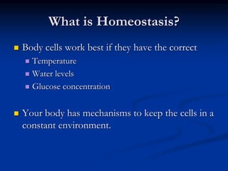 Homeostasis.ppt concept of homeostasis different type of homeostasis | PPT