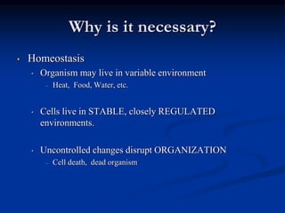 Homeostasis.ppt concept of homeostasis different type of homeostasis | PPT