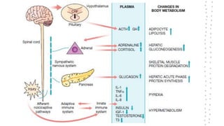 Homeostasis, the internal milieu of the human body | PPTX