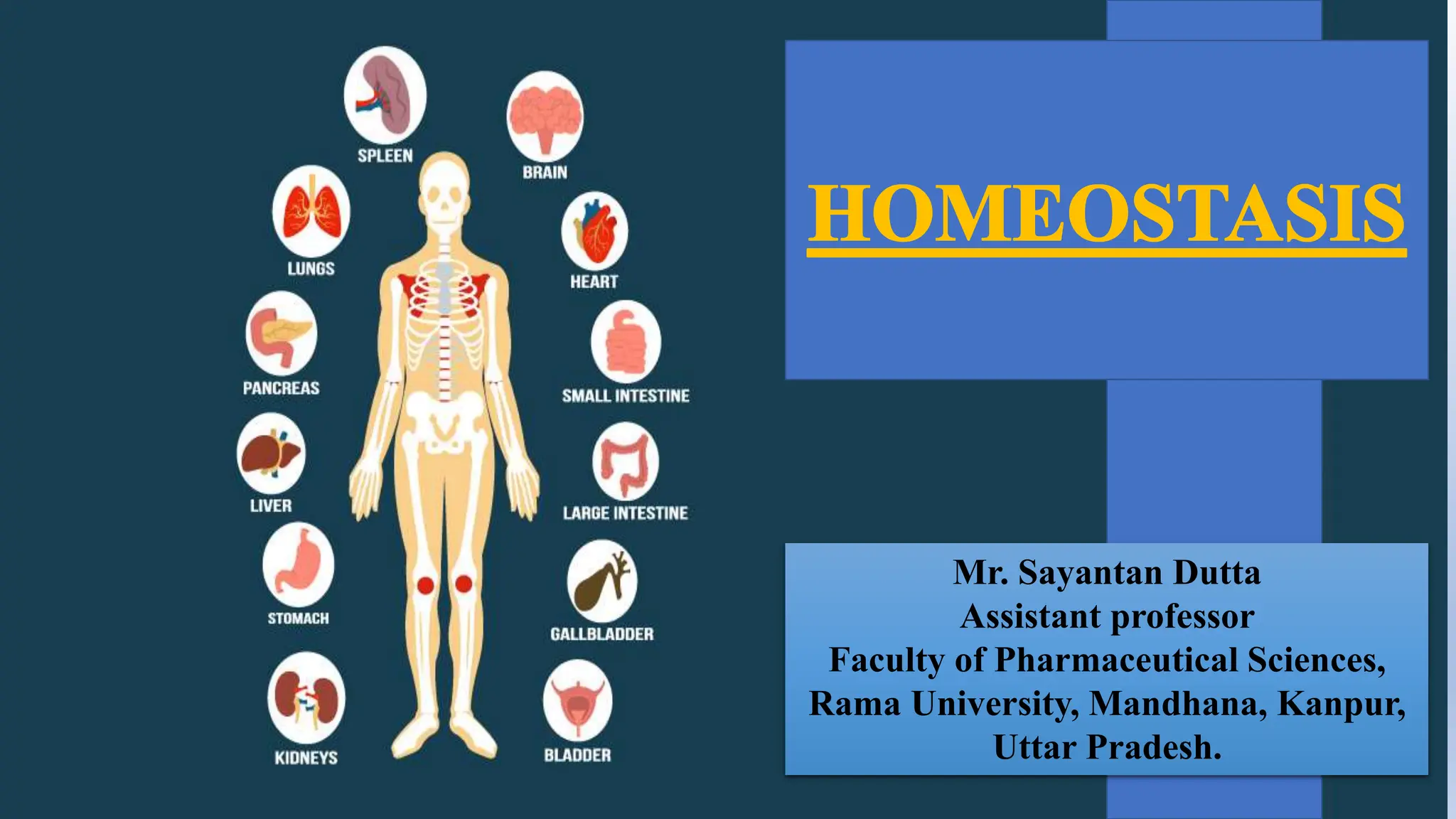Study of Homeostasis (a part of Human anatomy and physiology) | PPT
