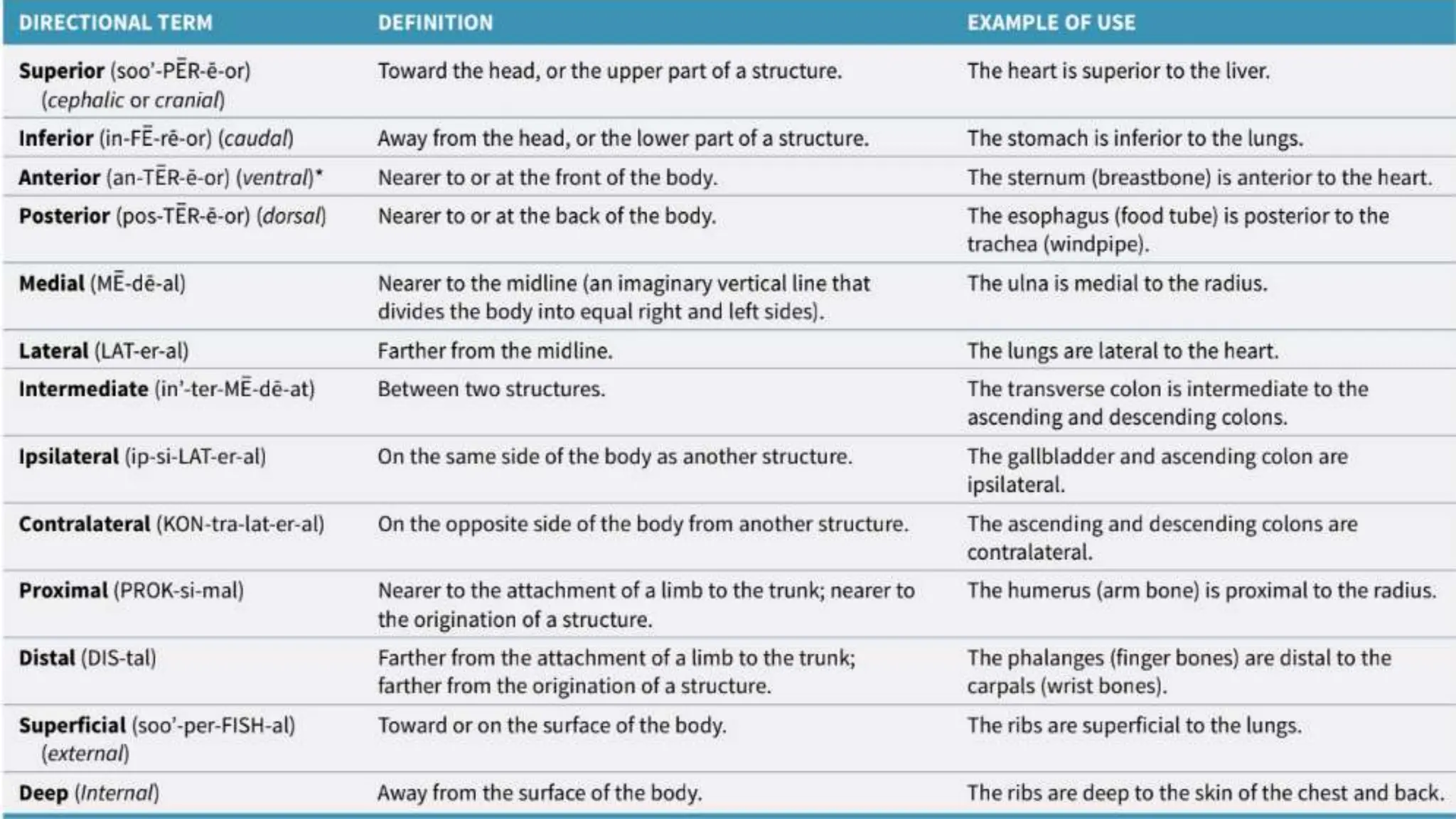 Study of Homeostasis (a part of Human anatomy and physiology) | PPT