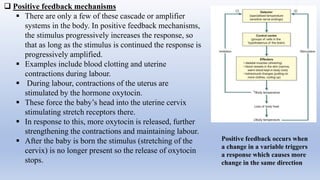 Study of Homeostasis (a part of Human anatomy and physiology) | PPT
