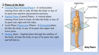Study of Homeostasis (a part of Human anatomy and physiology) | PPTX