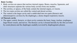 Study of Homeostasis (a part of Human anatomy and physiology) | PPTX