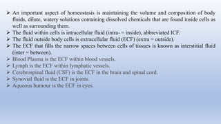 Study of Homeostasis (a part of Human anatomy and physiology) | PPT