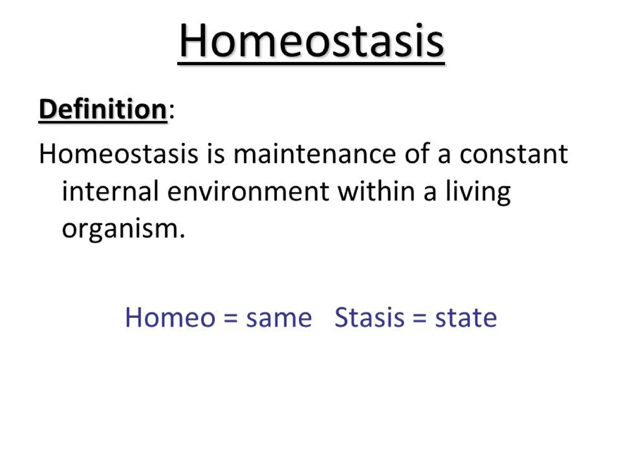 HOMEOSTASIS.pptx Human Anatomy and physiology | PPT