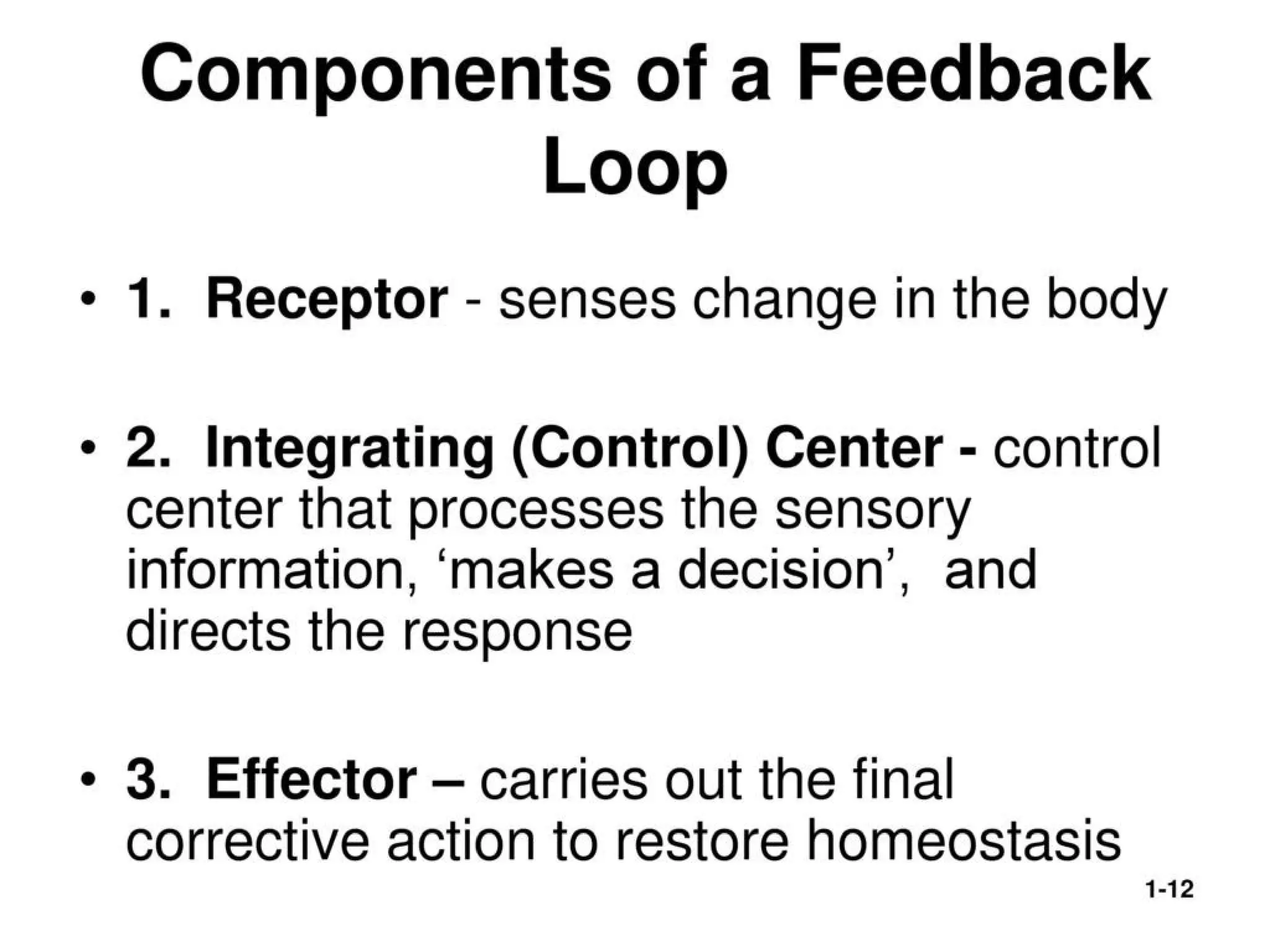 HOMEOSTASIS.pptx Human Anatomy and physiology | PPT