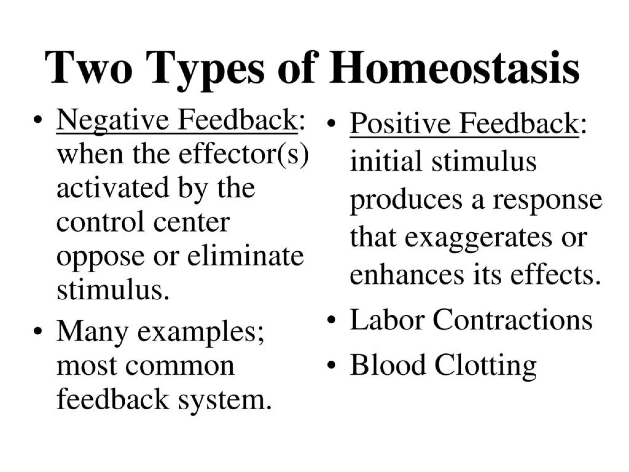 HOMEOSTASIS.pptx Human Anatomy and physiology | PPT