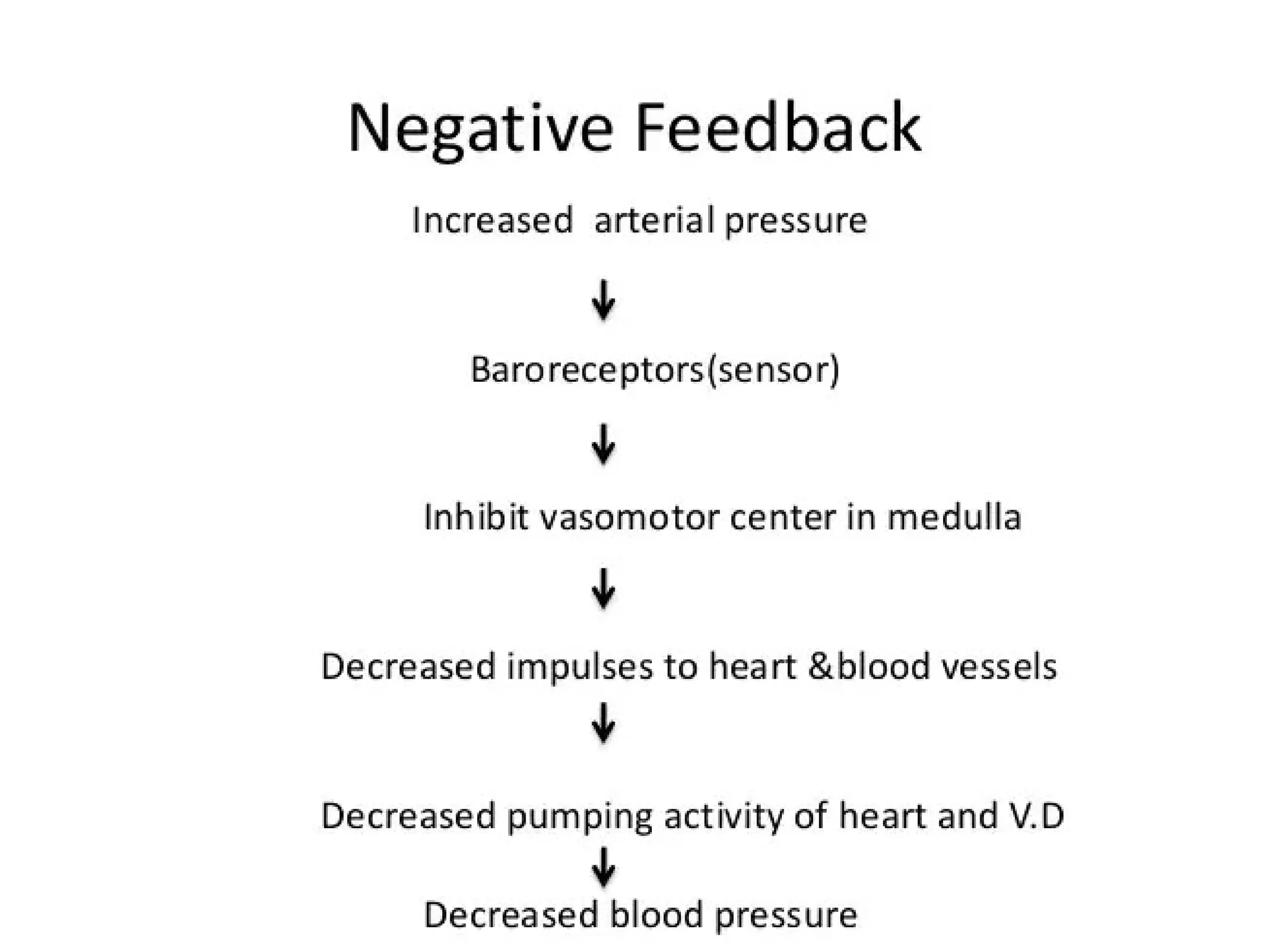 HOMEOSTASIS.pptx Human Anatomy and physiology | PPT