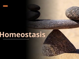 HOMEOSTASIS.pptx Human Anatomy and physiology | PPT