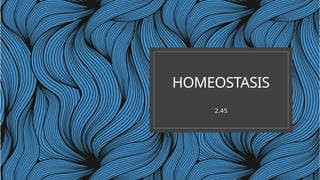 Homeostasis in animal and humn organism.pptx