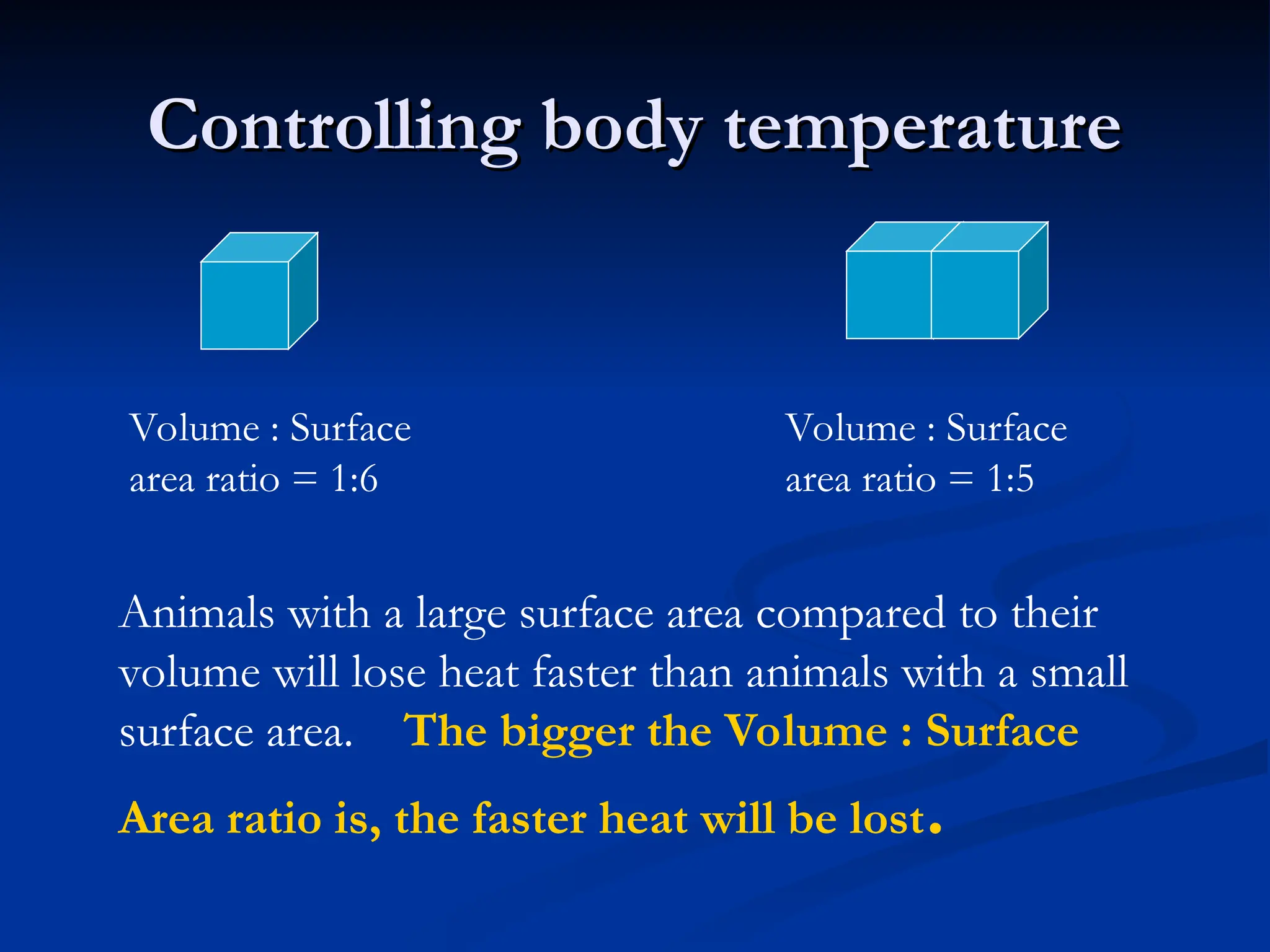 Homeostasis presentation and feedback loops | PPT