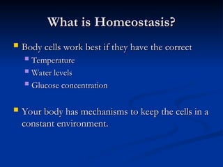 Homeostasis presentation and feedback loops | PPT