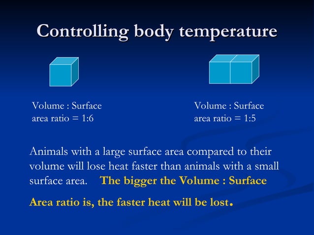 Homeostasis presentation and feedback loops | PPT