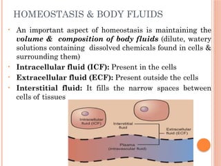 Homeostasis Mechanism B.Pharmacy HAP I Unit I | PPTX