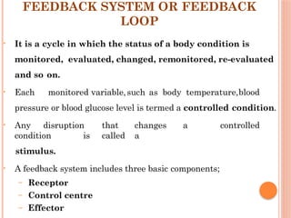 Homeostasis Mechanism B.Pharmacy HAP I Unit I | PPTX