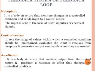 Homeostasis Mechanism B.Pharmacy HAP I Unit I | PPTX
