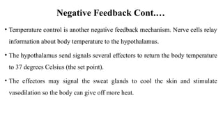 All details about today pptbHomeostasis.pptx